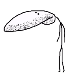 Under | GradeAUnderA Wikia | Fandom