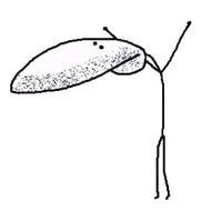 Under | GradeAUnderA Wikia | Fandom