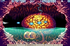 Eleos Brain | Gradius Wiki | Fandom