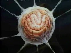 Xaerous Brain | Gradius Wiki | Fandom