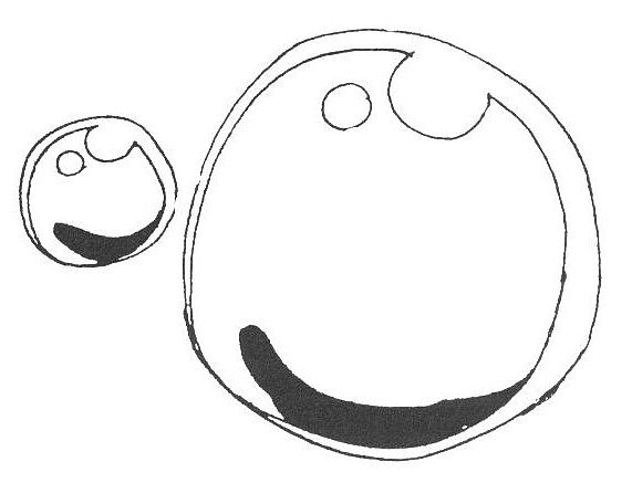 Bubble Gradius Wiki Fandom