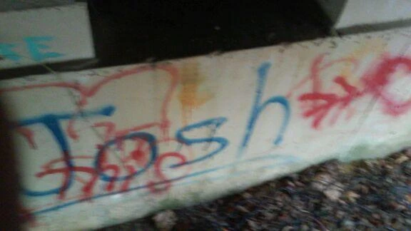 Josh | Graffitis Wikia | Fandom
