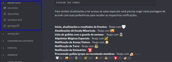 Conhecendo o Discord | Wikia Grand Fantasia | Fandom