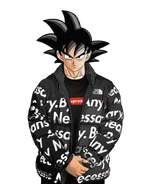 Drippy Fit | Grand Piece Online Wiki | Fandom