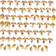 Baldinar | Grand Chase Wiki | Fandom