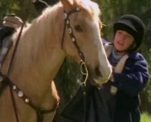 Teddy | Wiki Grand Galop | Fandom