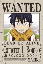 Red Wing Pirates | Grandline Wiki | Fandom