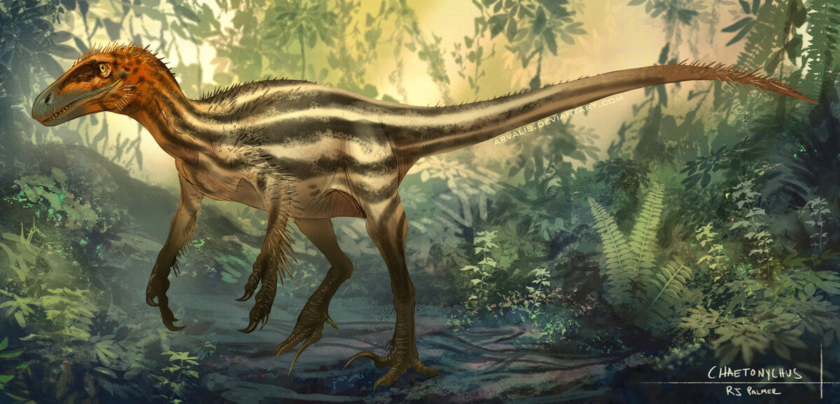 Non-Sentient Races | Grand Mythos Wiki | Fandom