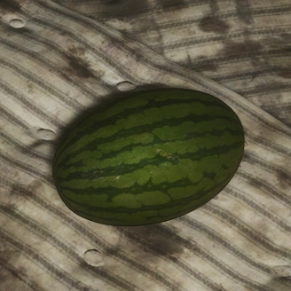 Watermelon | Granny: Escape Together Wiki | Fandom