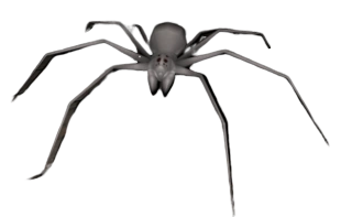 Spider | Granny Wiki | Fandom