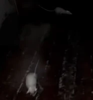 Spectral Rats | Granny Wiki | Fandom