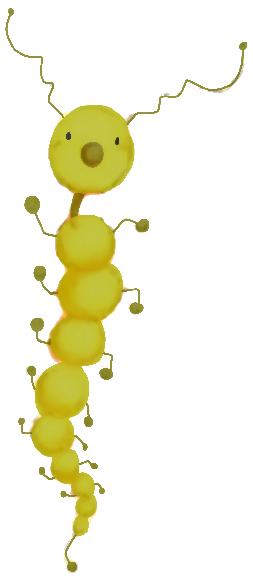 Michael Centipede | Graphics Group Pixar Pixar Animation Studios Wiki ...