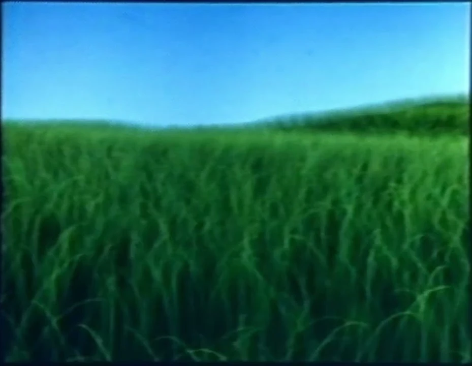 Grass | Graphics Group Pixar Pixar Animation Studios Wiki | Fandom