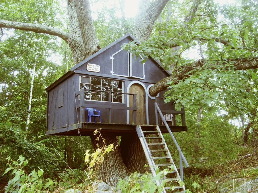 Hazel's Treehouse | Gravity Falls Roleplay Wiki | Fandom