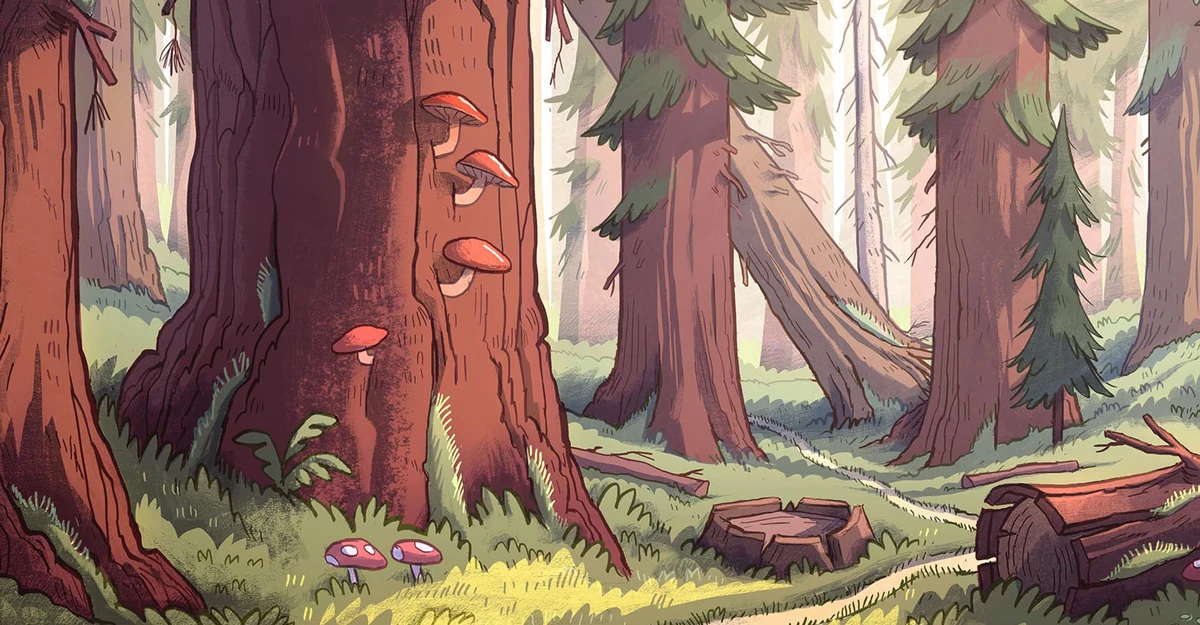 Gravity Falls Forest | Gravity Falls Roleplay Wiki | Fandom