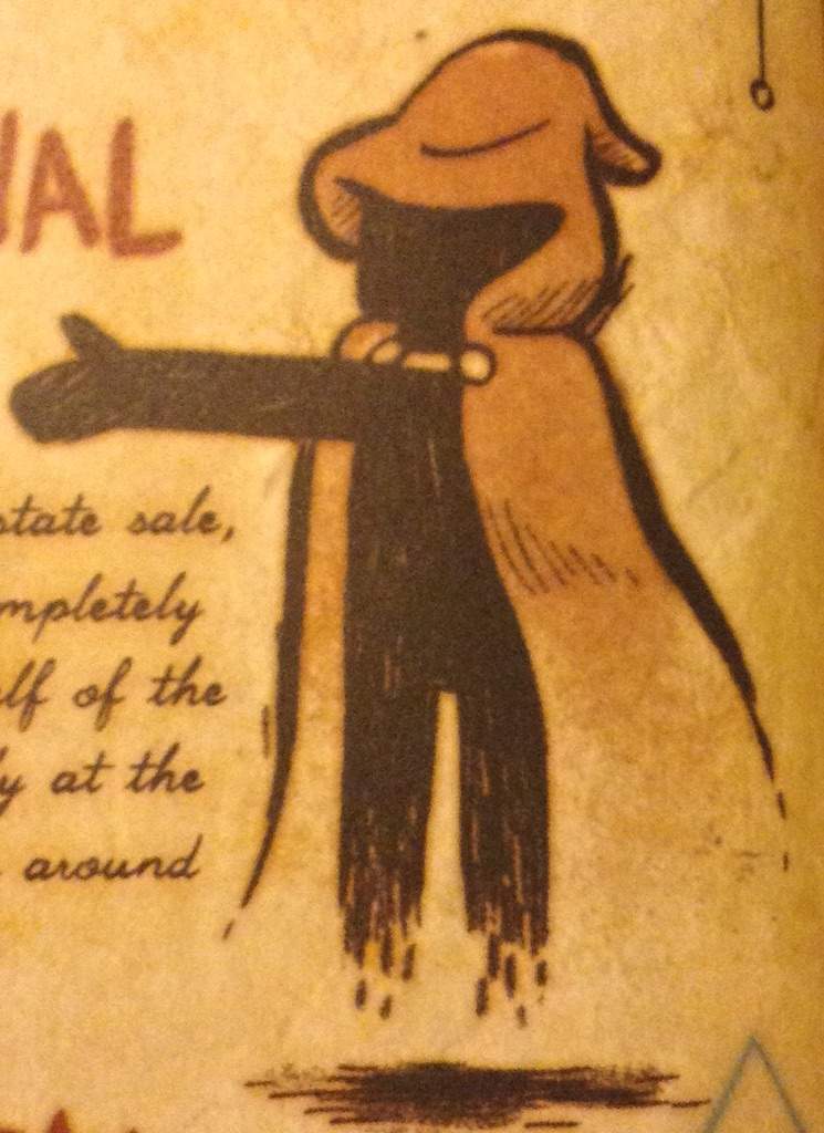 Capa De Invisibilidad Ocasional Gravity Falls Wiki Fandom