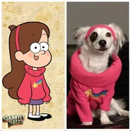 List of promotional trailers | Gravity Falls Wiki | Fandom