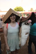 Cipher Hunt/Gallery | Gravity Falls Wiki | Fandom