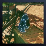 Dusty | Gravity Rush Wiki | Fandom