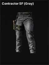 Contractor SF (Gray) | Gray Zone Warfare Wiki | Fandom