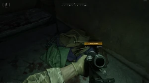 Deep Depravity | Gray Zone Warfare Wiki | Fandom