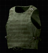 Molle Vest | Gray Zone Warfare Wiki | Fandom