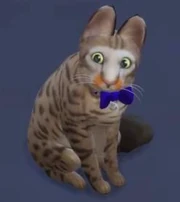 Tonsils | GrayAndSpleens Wiki | Fandom