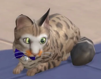 Tonsils | GraySims4 Wiki | Fandom