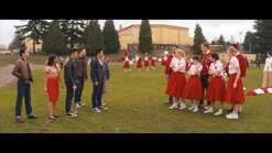 T-Birds | Grease Wiki | Fandom