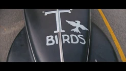 T-Birds | Grease Wiki | Fandom