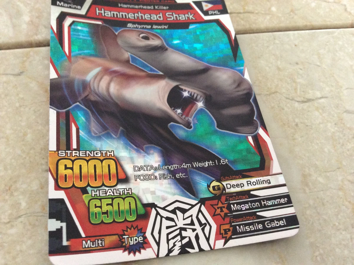 Hammerhead Shark | Great Animal Kaiser Wiki | Fandom