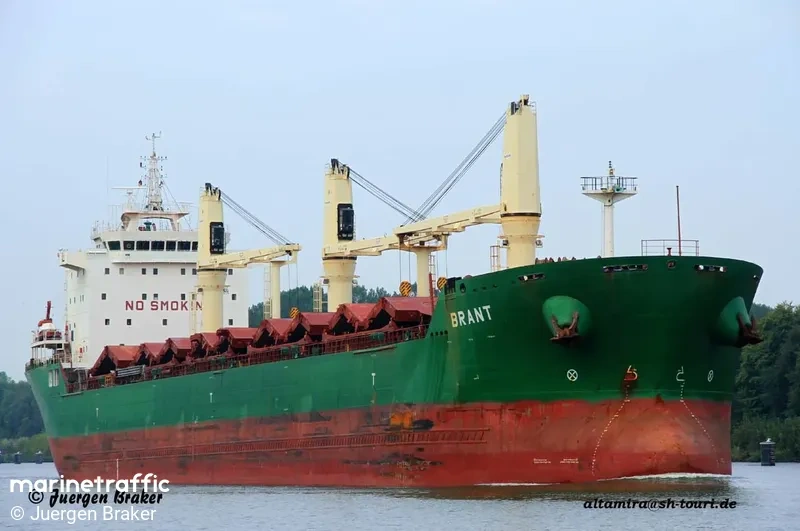 Brant | Great Lakes St Lawrence Seaway Wiki | Fandom