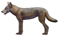 Jackwolves | Great Terraforming and Rewilding Planets Wiki | Fandom