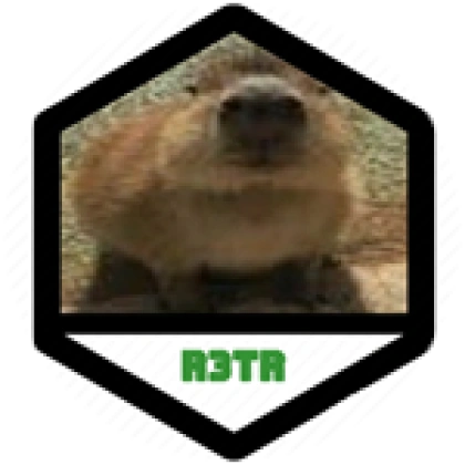 Ring 3 Tower Rush | The Noob Zone Towers Wiki | Fandom