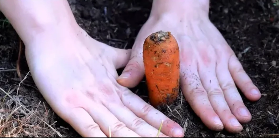 Greatest Campaign Video EVER | Greatest Freak Out Ever Wiki | Fandom