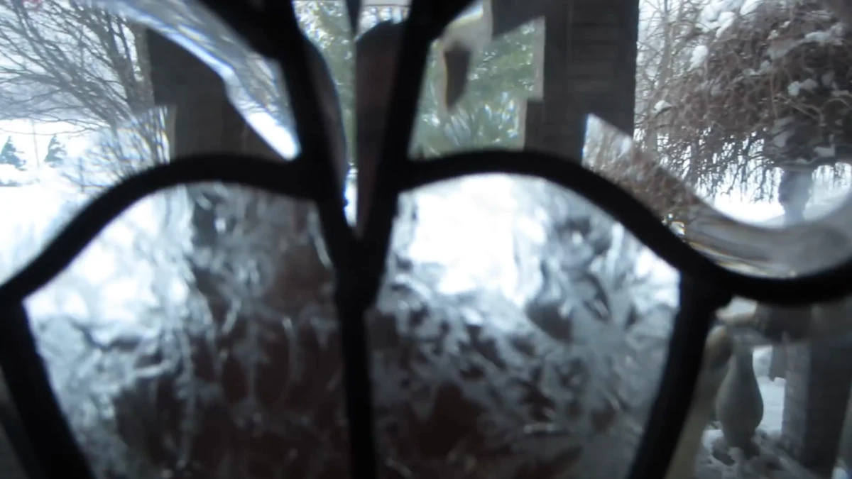 Greatest freak out ever 26 | Greatest Freak Out Ever Wiki | Fandom