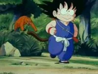 The Secret of the Dragon Balls | Greatest Anime Battles Wiki | Fandom