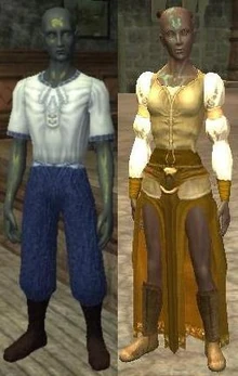 Erudite | Great Multiverse Wiki | Fandom