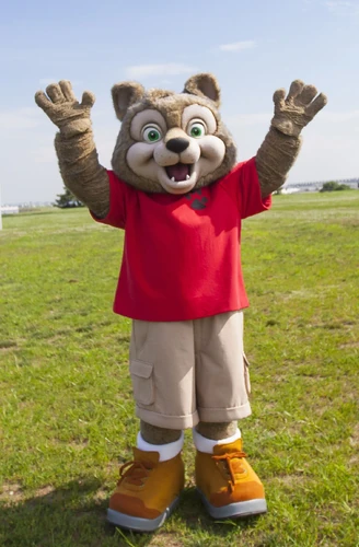 Wiley the Wolf | Great Wolf Lodge Wiki | Fandom