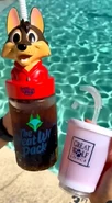 Souvenir Cup | Great Wolf Lodge Wiki | Fandom