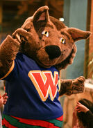 Wiley the Wolf | Great Wolf Lodge Wiki | Fandom