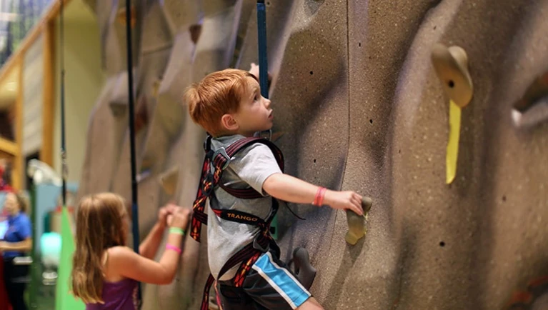 Rustic Ridge Climbing Wall | Great Wolf Lodge Wiki | Fandom