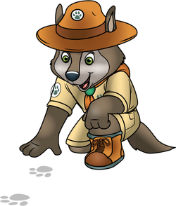 Wiley Great Wolf Lodge Clipart