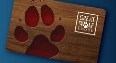 Great Wolf Lodge Gift Card | Great Wolf Lodge Wiki | Fandom