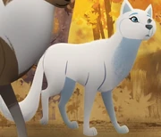 Luna | Great Wolf Lodge Wiki | Fandom