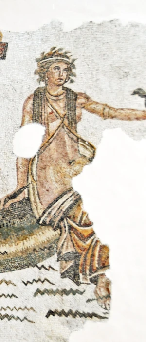 Keto | Gods, Heroes, Monsters And Other Greek Mythology Wiki | Fandom