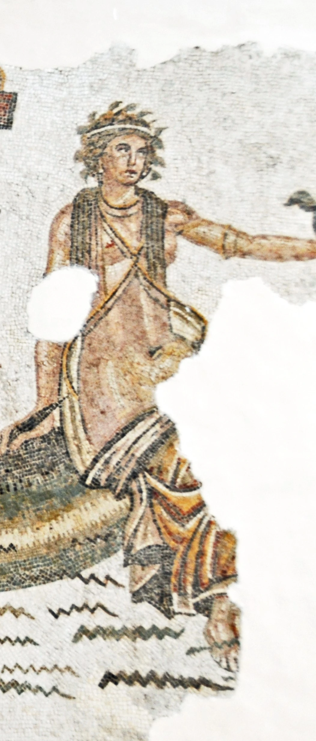 Keto | Gods, Heroes, Monsters And Other Greek Mythology Wiki | Fandom