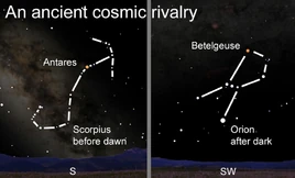 Artemis | Greek Myth Wikia | Fandom