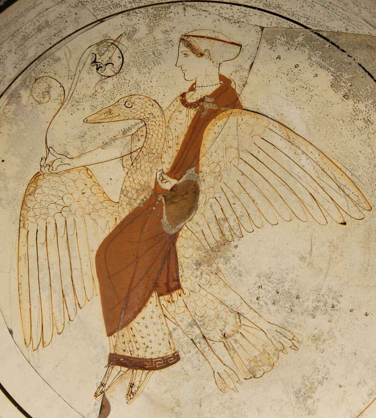 Aphrodite Greek Mythology Wiki Fandom