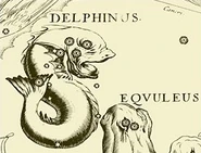 Delphin | Greek Mythology Wiki | Fandom